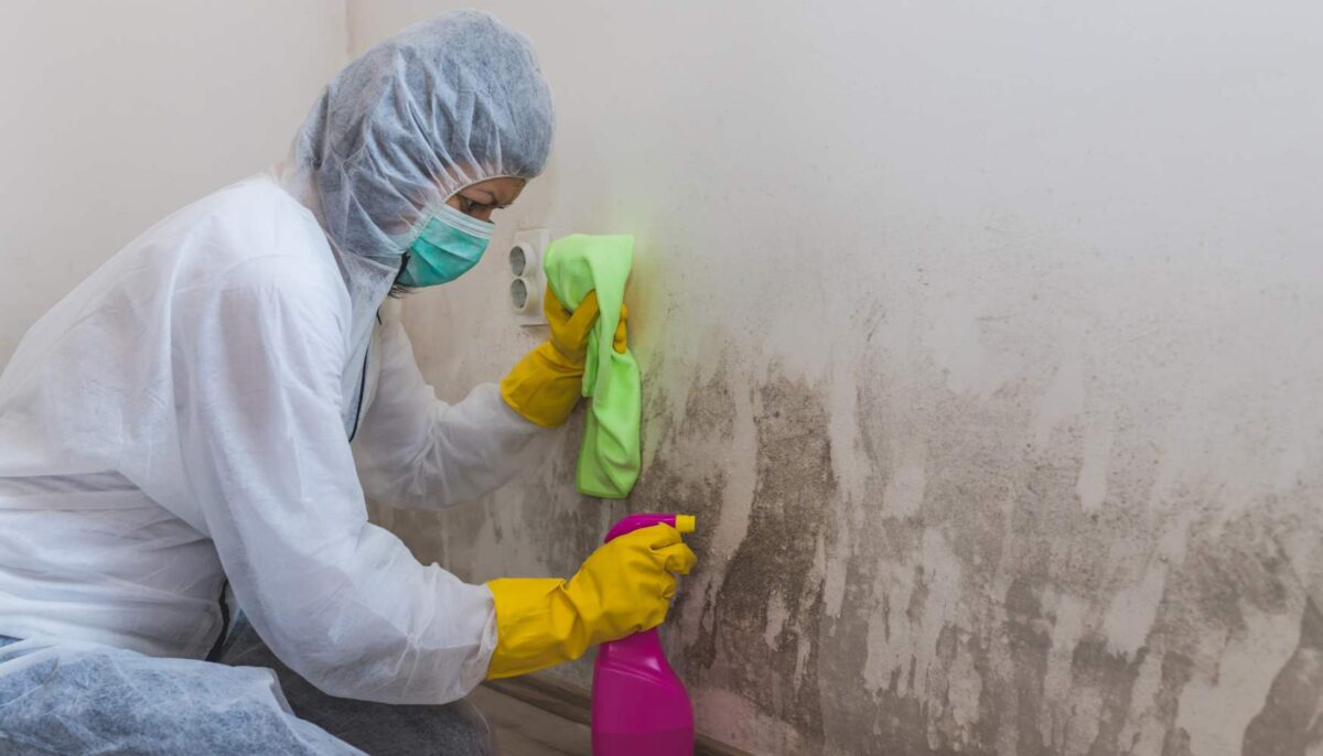 What Does Mold Smell Like? How To Pinpoint the Odor - Pure Environmental