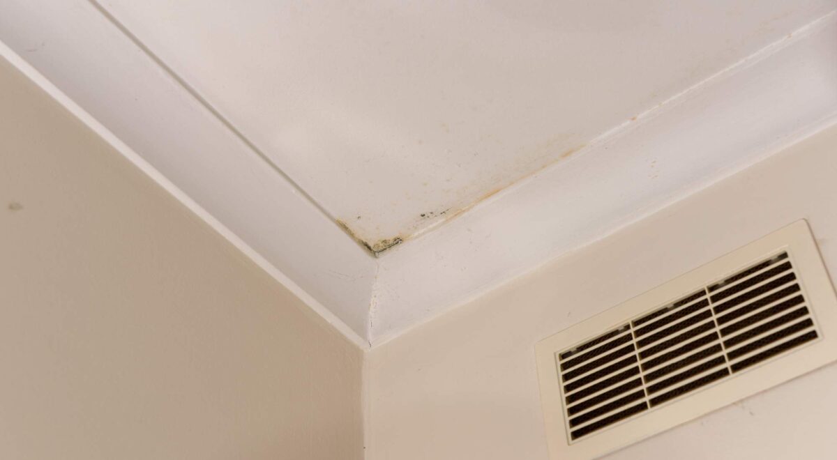 How To Treat Mold Behind Baseboards and Keep It From Returning